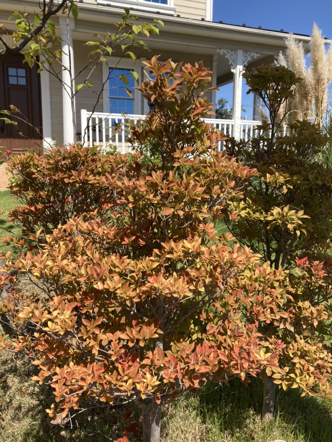 【セルコホーム】輸入住宅の庭 ｜ サンポウ住宅事業部 クレバリーホーム イシンホーム セルコホーム sanpo house